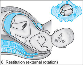 JaypeeDigital | eBook Reader