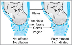 JaypeeDigital | eBook Reader