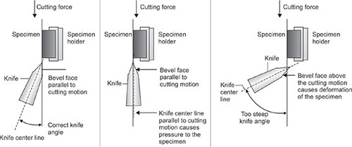 Knife Clearance Angle In Microtomy, 48% OFF
