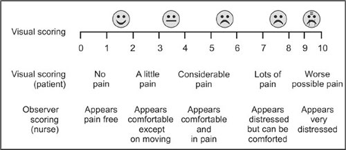 Visual Analogue Scale Vas For Assessment Of Childrens Pain