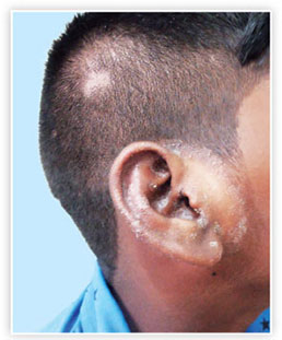 JaypeeDigital | eBook Reader