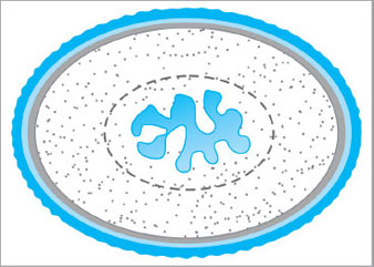 JaypeeDigital | eBook Reader