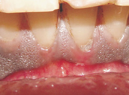 JaypeeDigital | eBook Reader