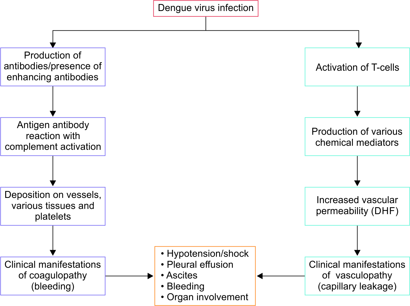 ISCCM Position Statement: Management of Severe Dengue in Intensive Care ...